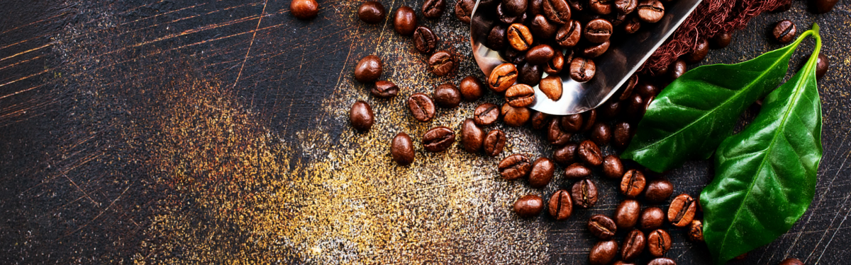 Apricot Cream Coffee - Creamy Apricot Flavor Delight
